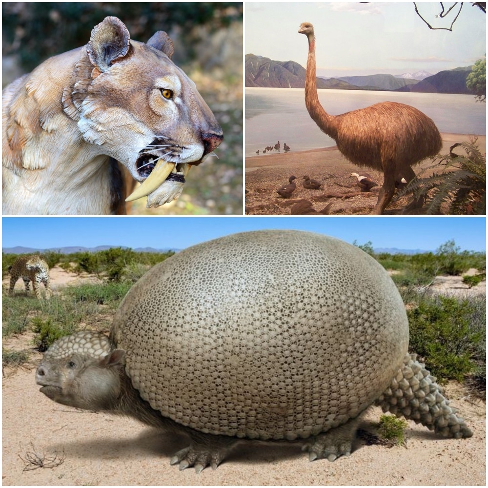 30 Animals That Scientists Want to Bring Back From Extinction ...