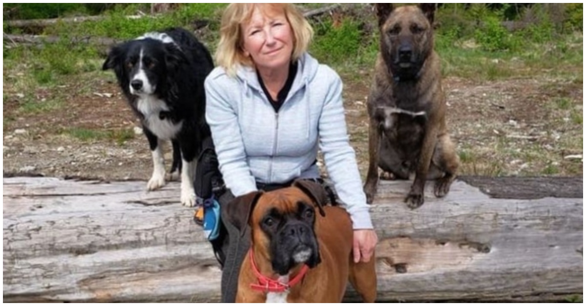 The Rescuers Couldn't Believe What They Saw When Searching for A ...