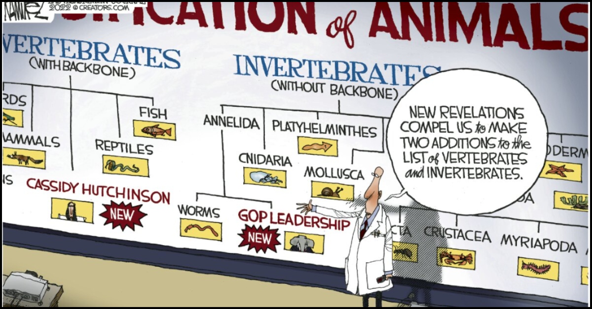 The Midterms Are Coming: These Funny Cartoons Cover All Current Issues ...