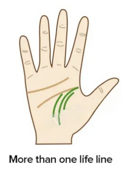 15 Easy Tips and Tricks to Read Your Palm Lines Fast - worldtravelling