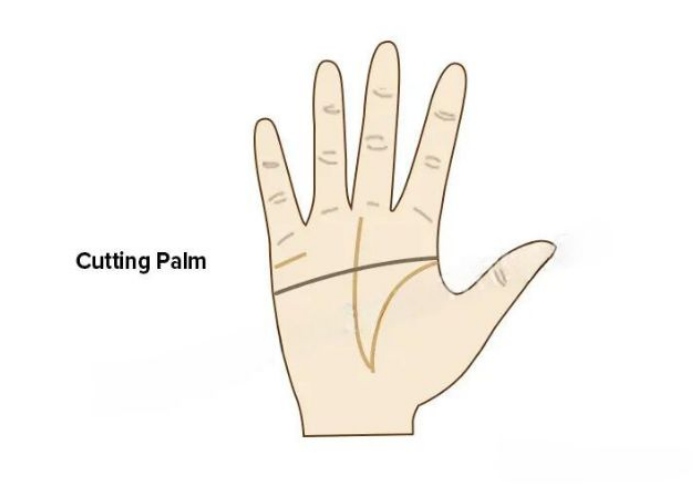 15 Easy Tips and Tricks to Read Your Palm Lines Fast - worldtravelling