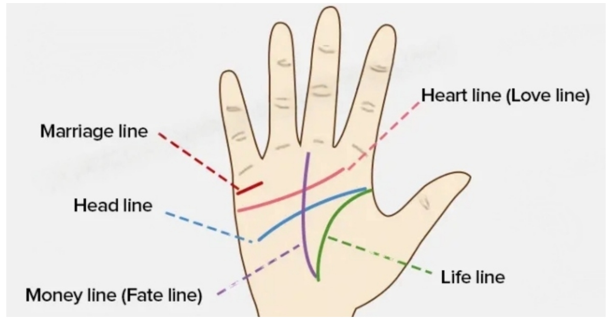 15 Easy Tips and Tricks to Read Your Palm Lines Fast - worldtravelling
