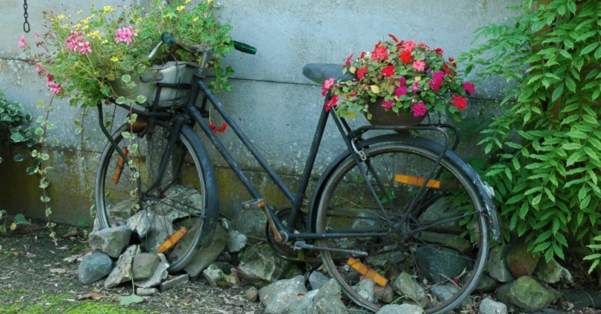 35+ Worst Garden Trends and Designs to Avoid - worldtravelling